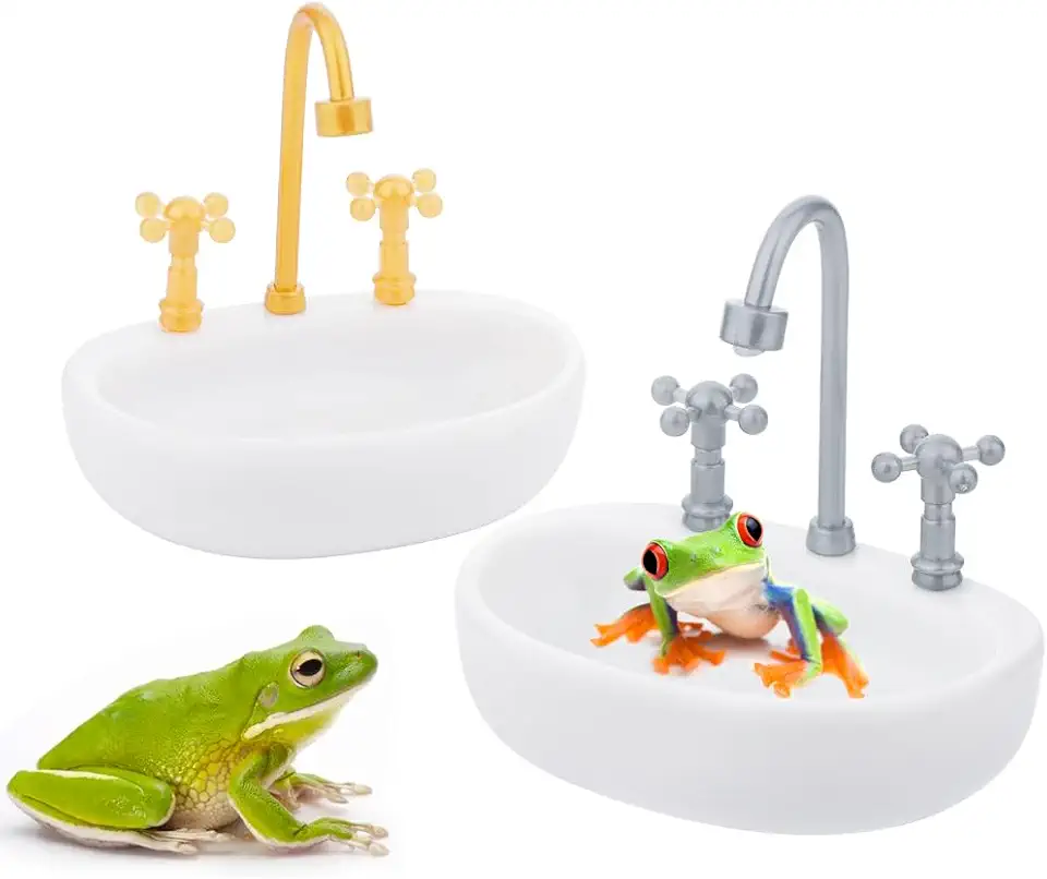 Creating The Perfect Toad Habitat: A Comprehensive Guide | PetShun