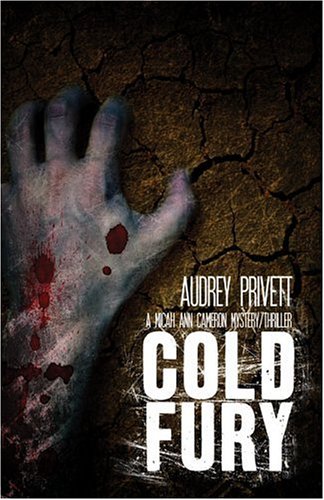 Cold Fury: A Micah Ann Cameron Mystery, Thriller: Privett, Audrey ...