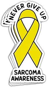 Amazon.com: COIASY Sarcoma Cancer Awareness Sticker Never Give Up ...