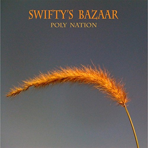 Amazon.com: Poly Nation : Swifty's Bazaar: Digital Music