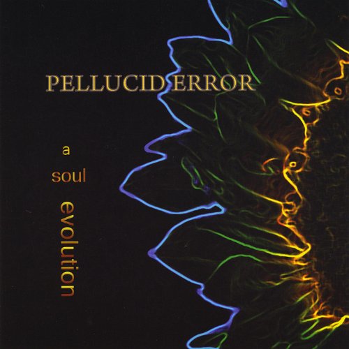 Amazon.com: A Soul Evolution : Pellucid Error: Digital Music