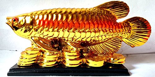 Buy Pooja Art Gallery Arrawana Fish Showpiece Online at Low Prices in ...