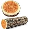 XQWR Creative Natural Wood Design Tree Trunk Log Cushion Soft Chair ...