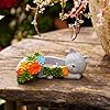 Amazon.com: Fashionoda Outdoor Cat Key Hider Statue - Cute Succulent ...