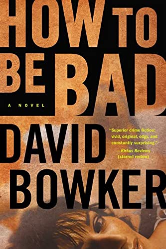 How to Be Bad: A Novel: Bowker, David: 9780312328269: Amazon.com: Books
