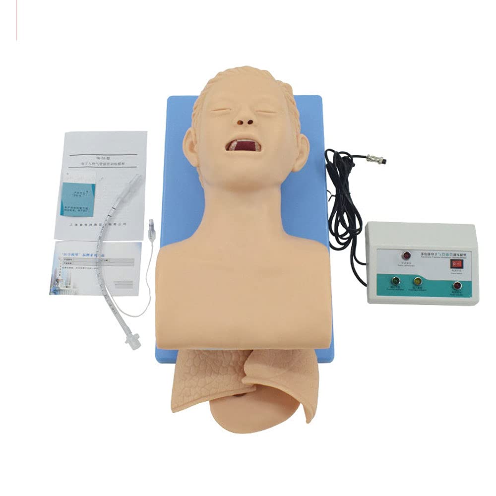 Buy YZDKJDZ Intubation Training Manikin,Tracheal Simulator Model ...