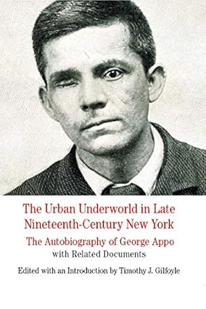 Amazon.com: The Urban Underworld in Late Nineteenth-Century New York ...