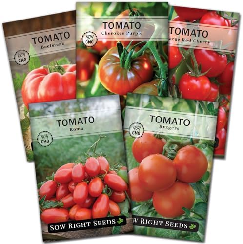 Amazon.com : Hossinator Hybrid Tomato Seeds (STM2255) F1 | 10 Seeds ...