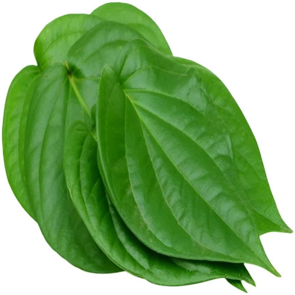 Fresh Betel Leaves (Paan Leaves) – 20 Count Pack | Natural, Aromatic ...