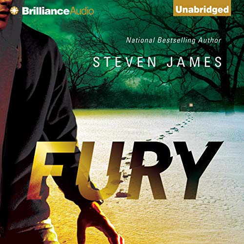 Amazon.com: Fury: Blur Trilogy, Book 2 (Audible Audio Edition): Steven ...