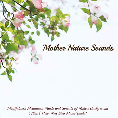 Amazon.com: Mother Nature Sounds – Mindfulness Meditation Music and ...