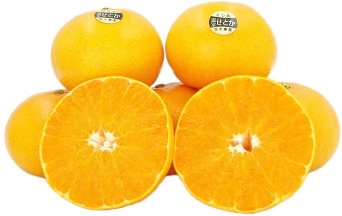 Amazon | 愛媛県産 極上せとか 約1.6kg (2L～3Lサイズ) フルーツ 果物 くだもの 柑橘 愛媛県 西条市 | ノーブランド品 | みかん・柑橘類 通販