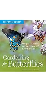 The Insect Epiphany: How Our Six-Legged Allies Shape Human Culture ...