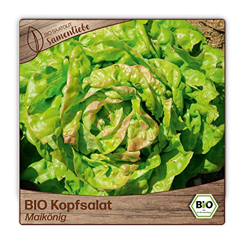 Hamster Salat – Die 16 besten Produkte im Vergleich - Haustierratgeber ...