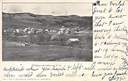 Village Callicoon, New York, Postcard at Amazon's Entertainment ...