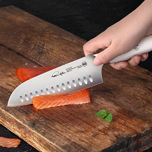 Cangshan Thomas Keller Signature Collection Swedish Powder Steel Forged ...