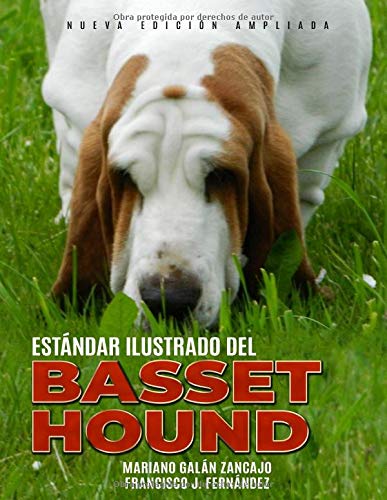 Estándar Ilustrado del Basset Hound: Nueva edición ampliada (Spanish ...