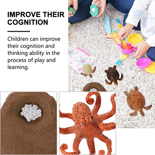 TOYANDONA 4 Sets Sea Animal Life Cycle Figurines of Salmon Horseshoe ...