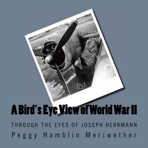 A Bird's Eye View of World War II: Through the Eyes of Joseph Herrmann ...