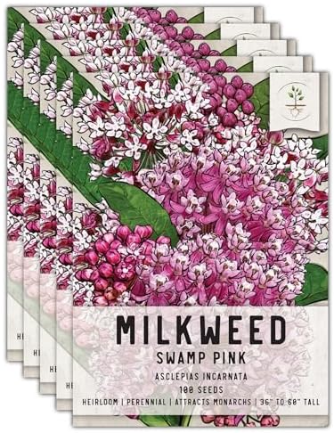 Amazon.com : Seed Needs, White Swamp Milkweed Seeds - 100 Heirloom ...