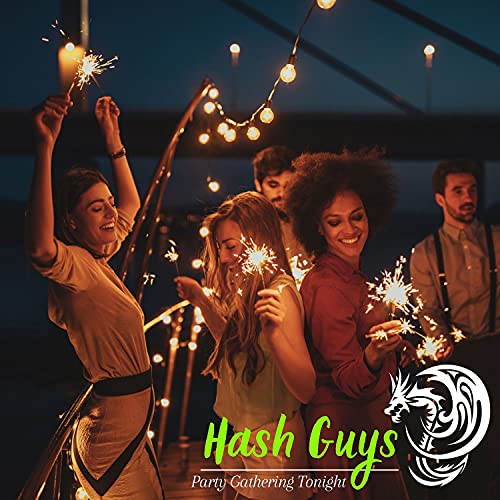 Hash Guys - Party Gathering Tonight de Dino Formes, Tech Riizmo, Stepha ...