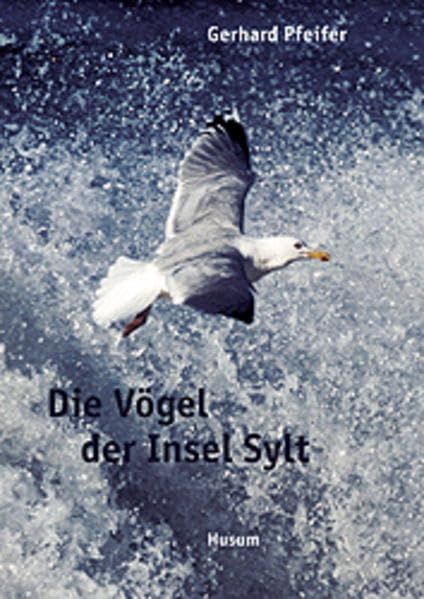 Angeln Sylt – Die 15 besten Produkte im Vergleich - Die besten Angel ...