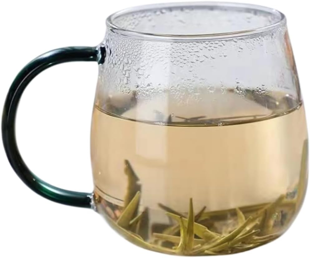 Amazon.com: MAQQL Clear Glass Mug with Handle, Dark Green Handle/16.9 ...