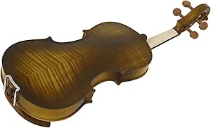 Amazon.com: Stringed Musical Instrument Violin 4/4 Violin Spruce Top ...