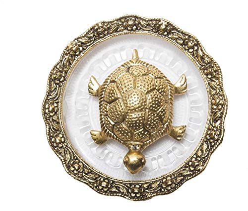 Buffy Golden Metal Tortoise on Glass Plate : Amazon.in: Home & Kitchen
