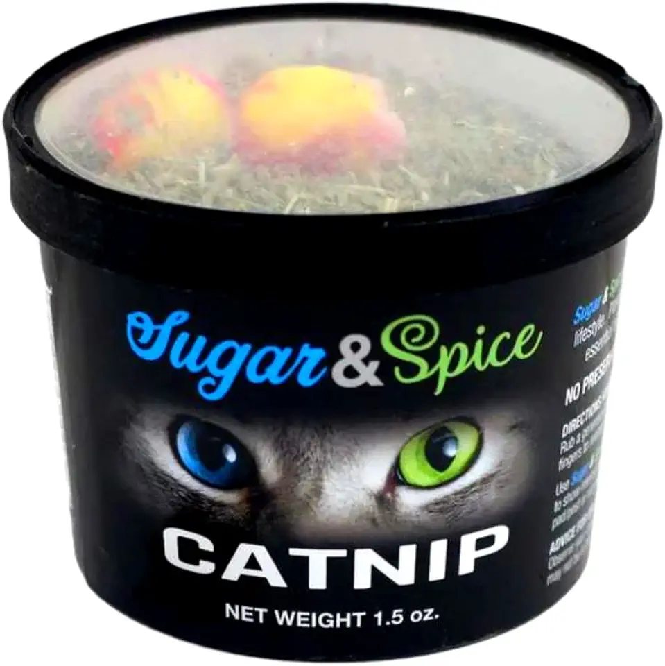 Safe Spices For Feline Friends: What Cats Can Eat | PetShun