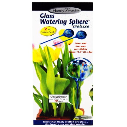 Buy Glass Watering Sphere - 2-Pack Online at Low Prices in India ...