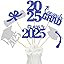 Amazon.com: 24Pcs 2025 Graduation Centerpieces Sticks Blue and Silver, Graduation Party ...