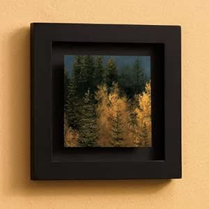 Autumn Song Pine Trees 1 Shadowbox by Rosemary Millette Print Open ...