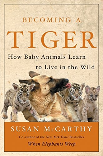 Buy Becoming a Tiger: How Baby Animals Learn to Live in the Wild Book ...