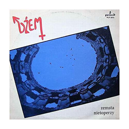 Zemsta Nietoperzy: Dzem: Amazon.in: Music}