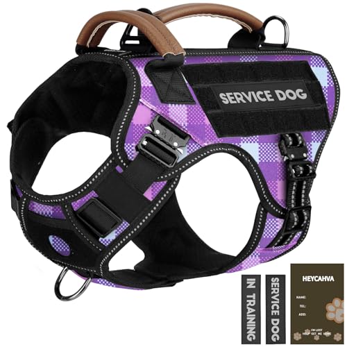 Best Leather Dog Vest Harnesses: Style and Comfort for Your Furry ...