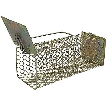 Alisoft kitchin and Home Rat Catcher Cage is Proudly Made in India ...
