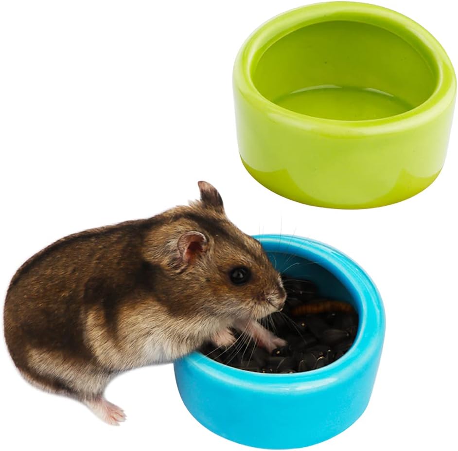 Amazon.com : 2 Pcs Ceramic Hamster Bowl, Small Animal Food Bowl and ...