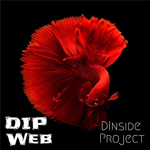Amazon.com: Dip Web (Special Edition) : Dinside Project: Digital Music