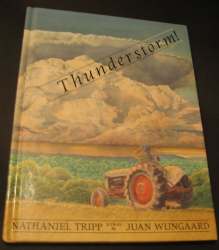 Thunderstorm: Tripp, Nathaniel, Wijngaard, Juan: 9780803713666: Amazon ...
