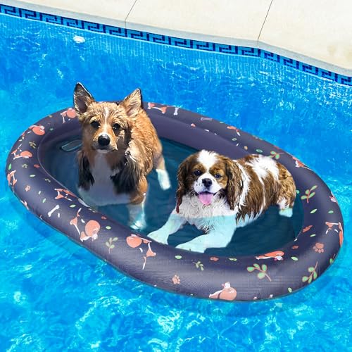 Dog Pool Float – The 15 best products compared - Wild Explained