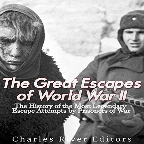 Amazon.com: The Great Escapes of World War II: The History of the Most ...