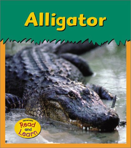 Alligator (Zoo Animals): Whitehouse, Patricia: 9781403406422: Amazon ...