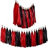 Amazon.com: Black and Red Tassel Garland Tissue Paper Tassel Banner ...