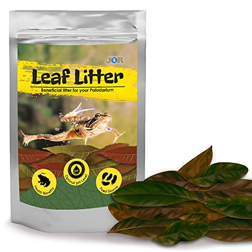 Top 10 Best Leaf Litter For Isopods : Reviews & Buying Guide - Katynel