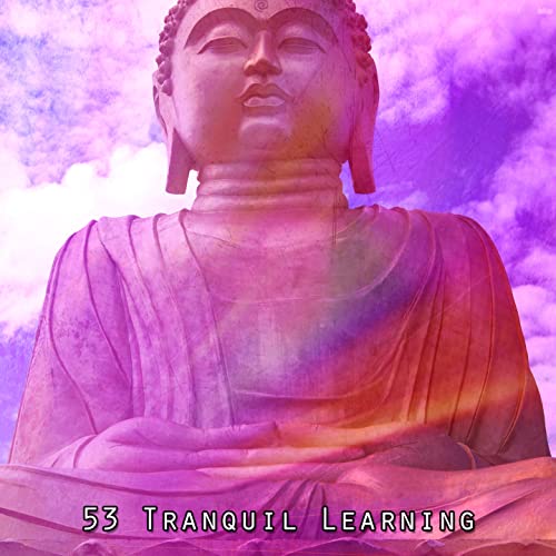 Echoes In Thought song by Amazing Spa Music from 53 Tranquil Learning on Amazon Music
