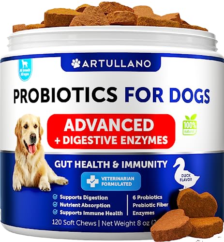 Boost Your Pet's Digestive Health with Top 10 Pet Labs Probiotic Chews ...