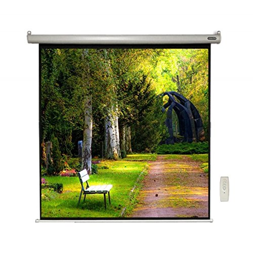 Liberty View Projection Screen 100" (5'x7') (4:3) Motorized Screen RF ...