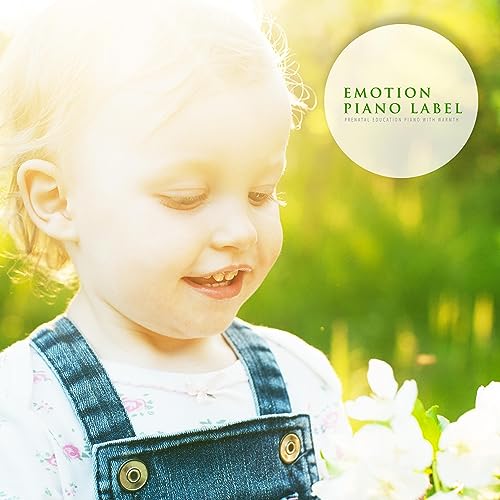 Play Prenatal Education Piano With Warmth by VARIOUS ARTISTS on Amazon ...
