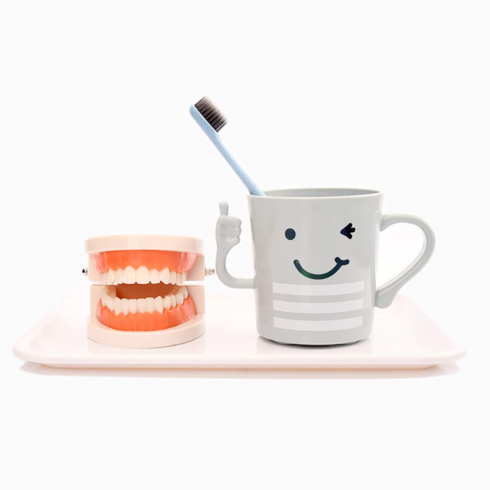 Buy Dental Model, Large Dental Teeth Model, Kindergarten Brushing Teeth ...